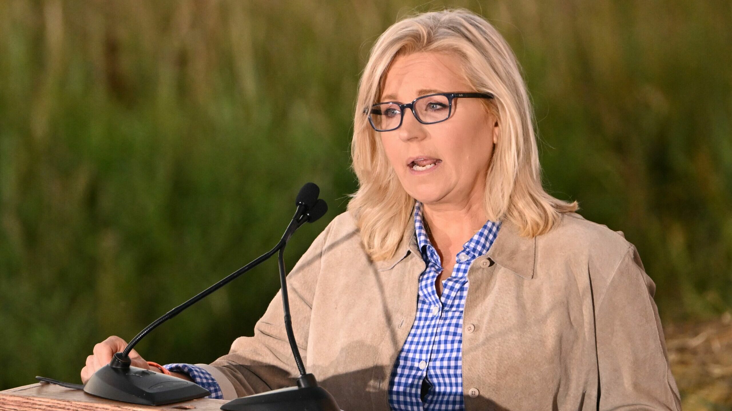 The Liz Cheney 2024 Big Lie - Puck