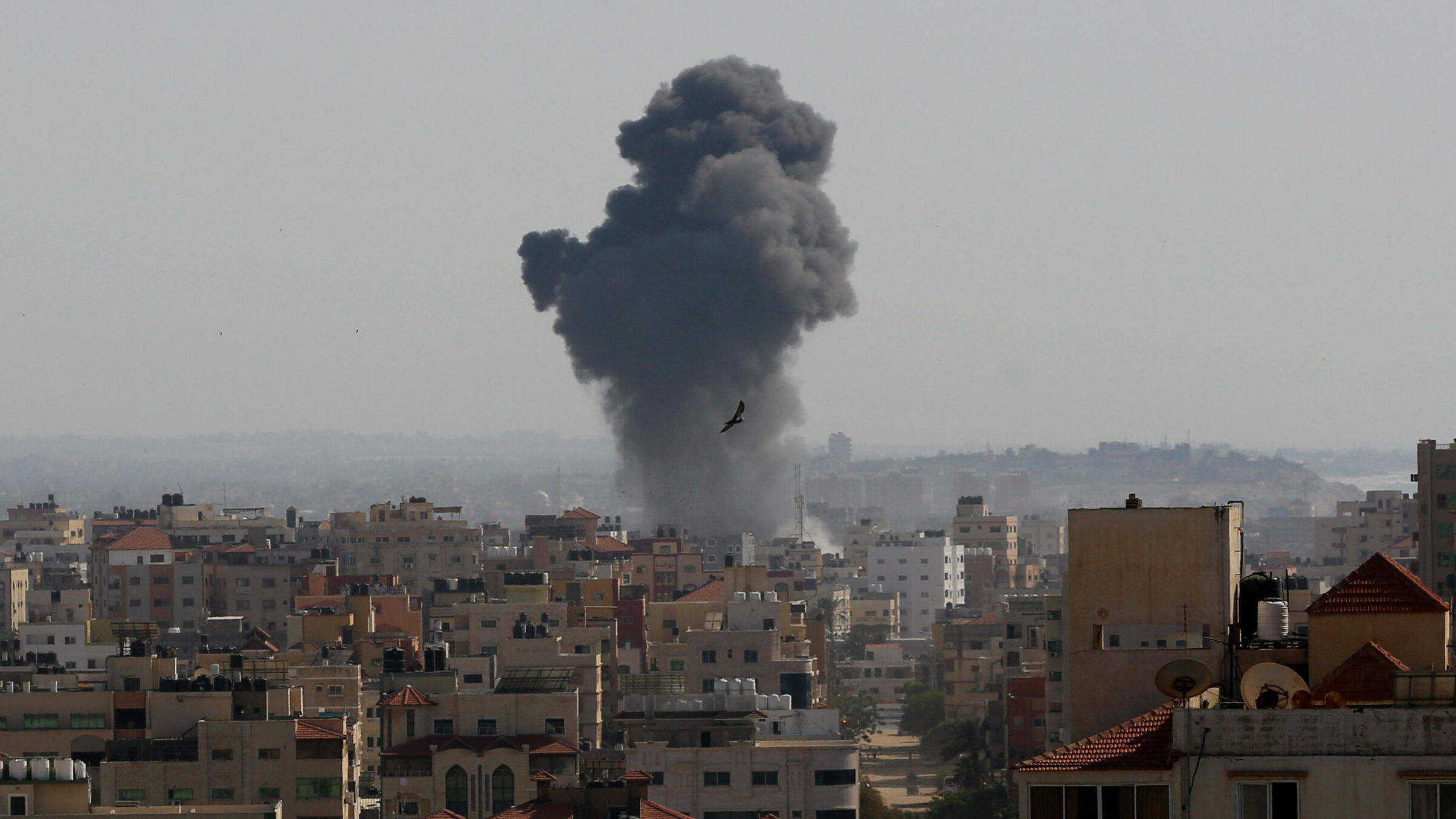 The Israel War Crime Complexifier - Puck