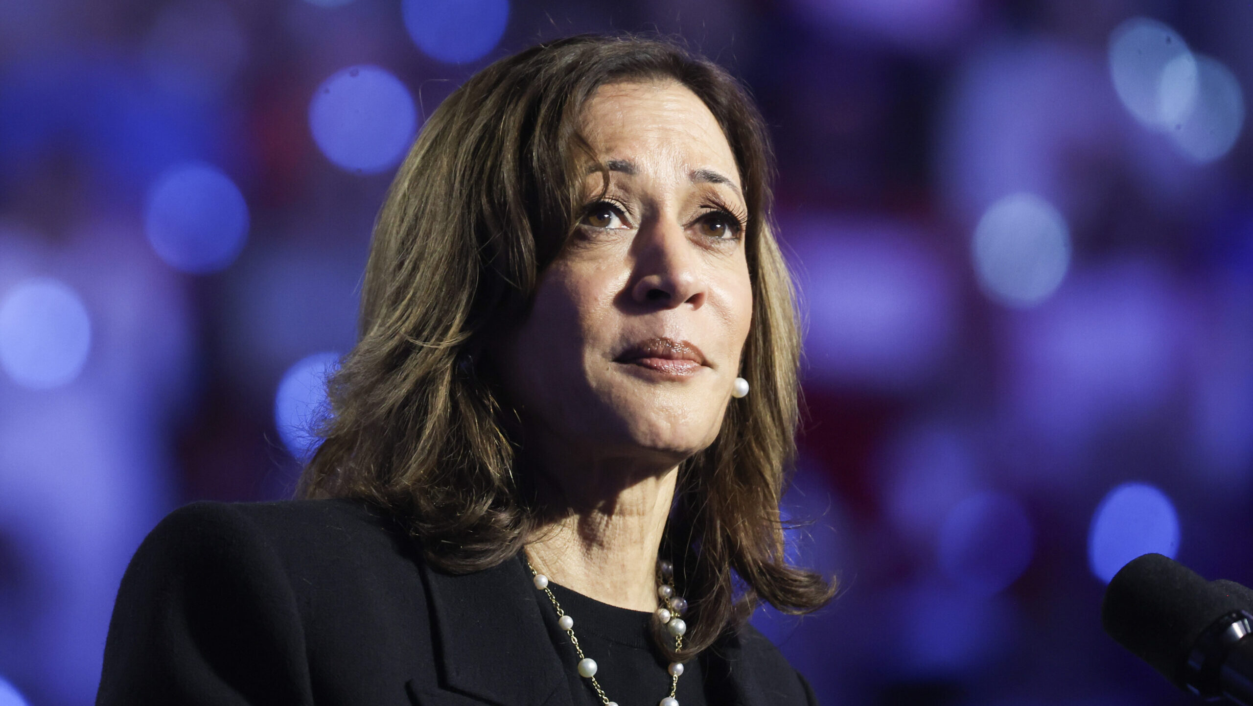 The Post-Harris Blamescape & Democrat Reckoning Tea Leaves - Puck