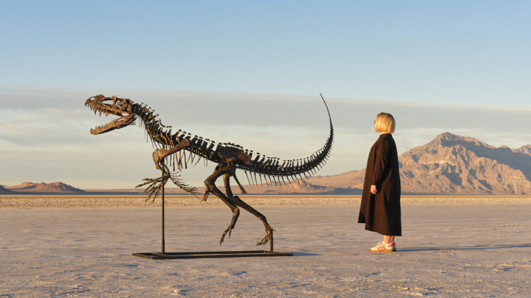 Inside Sotheby’s Geek Week Dinosaur Sales - Puck